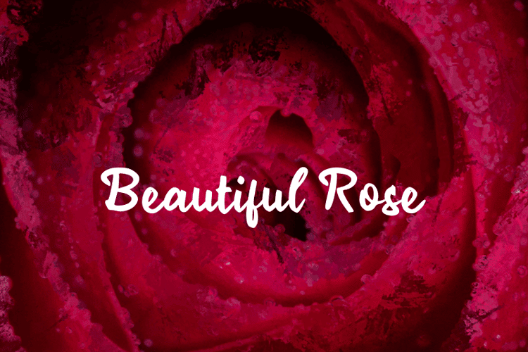 Beautiful Rose Font - wepfont
